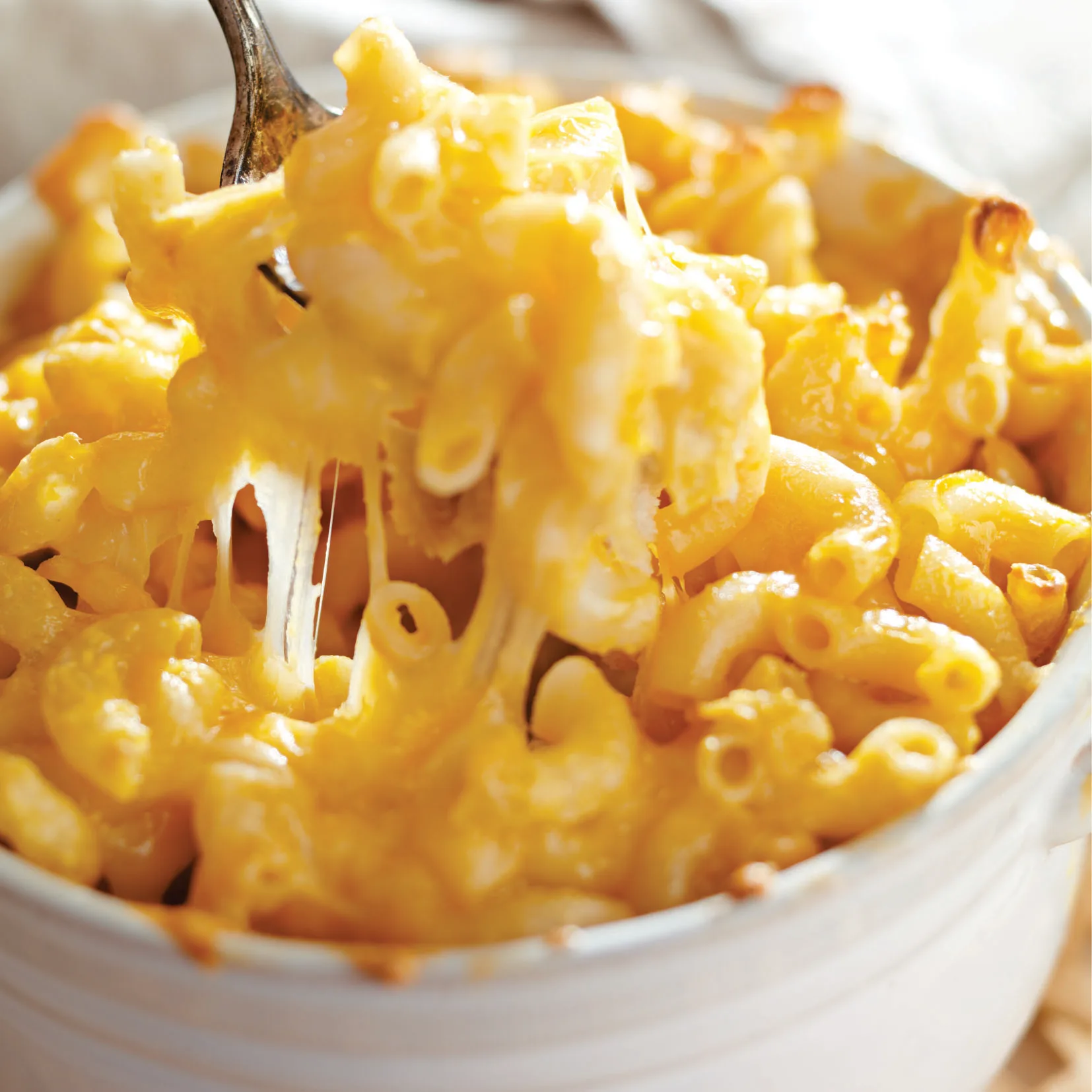 Macaroni and Cheese (400g) - Pronto Pasta